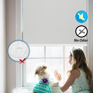 Amazon.com: Allesin Motorized Roller Blinds Shade with Remote Control for Windows, Blackout ...