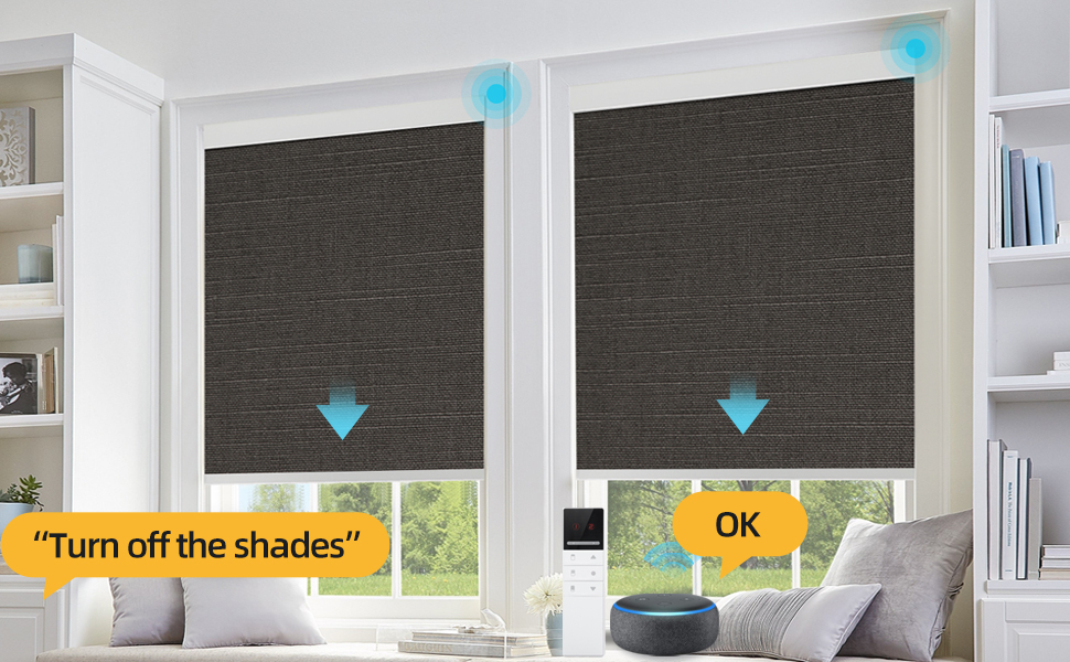 Amazon.com: ZSTARR Motorized Blackout Window Blinds Remote Control Automated Window Blinds ...