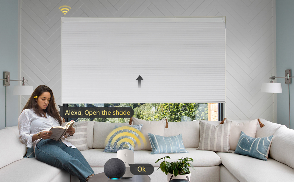 Amazon.com: CINONEKO Solar Powered Motorized Cellular Shades No Drill Blackout Automatic Shades ...