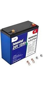 Amazon.com: Talentcell 24V 6Ah LiFePO4 Battery Pack LF8011, 25.6V 153.6Wh Deep Cycle ...