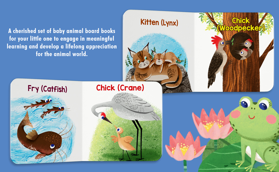 My First Baby Animal – Boxed Set of 5 Board Books: On the Pond, In the ...