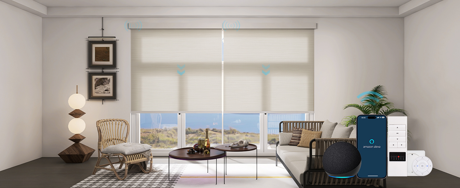 Amazon.com: ZSTARR Motorized Roller Shades Blackout Smart Roller Blinds with Remote Control ...