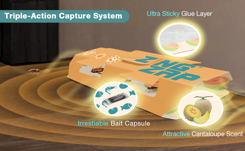 EcoVenger for Pest Professionals | ZingZap Roach Glue Trap Cantaloupe Scented 13-Pack with ...