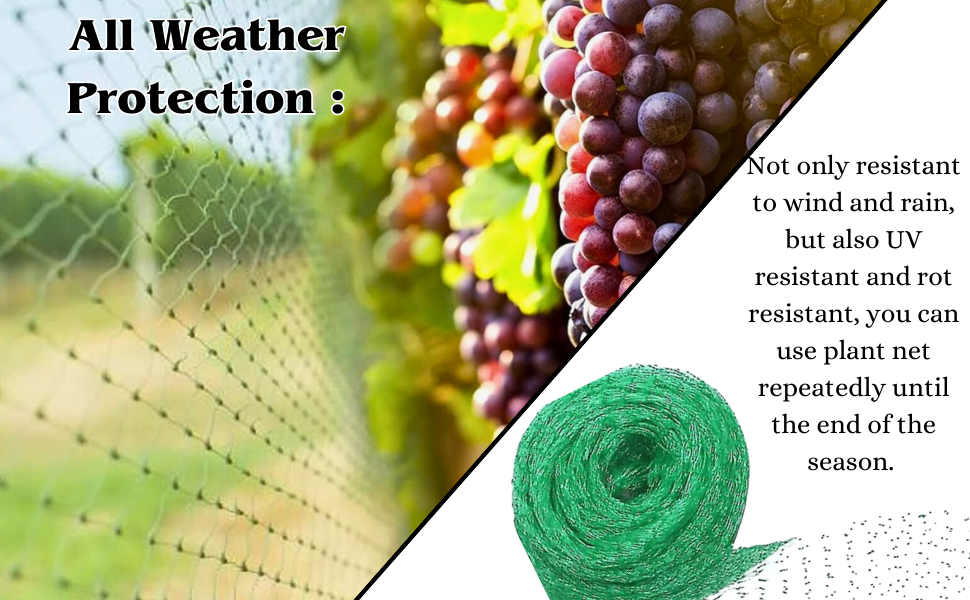 Requisite Needs 4m x 10m Green Garden Netting, Bird Netting Pond Plant Netting for Protecting ...
