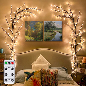 Amazon.com: SZMiNiLED Enchanted Willow Vine Lights with Remote：Christmas Decorations 144 LEDs ...