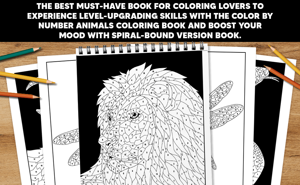 Amazon.com: SOUTHERN LOTUS Color by Number Animals Spiral Coloring Book Wirebound Papers with ...