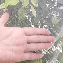 Amazon.com : 8.2x8.2ft Large Tree Netting for Fruit Trees Keep Birds Squirrels Cicadas and Small ...