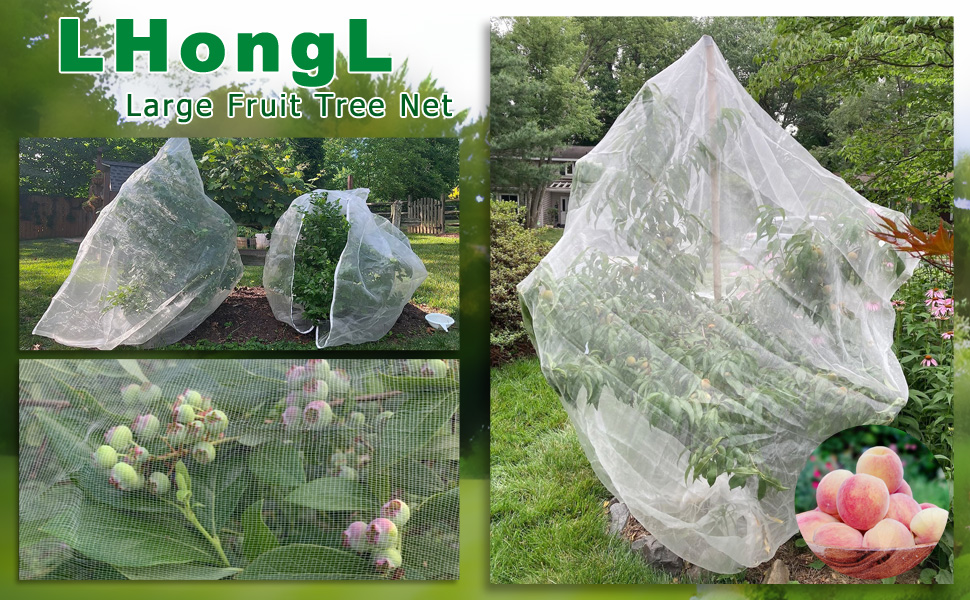 Amazon.com : 8.2x8.2ft Large Tree Netting for Fruit Trees Keep Birds Squirrels Cicadas and Small ...