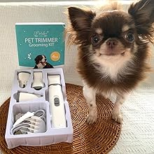 Amazon.co.jp: 【正規品】【動物救命士監修】Pateker 4in1 多機能 犬 バリカン 猫 バリカン ｜ペット用 ｜足裏・顔周り・お尻・全身トリミング用｜犬・猫対応｜静音・軽量 ...