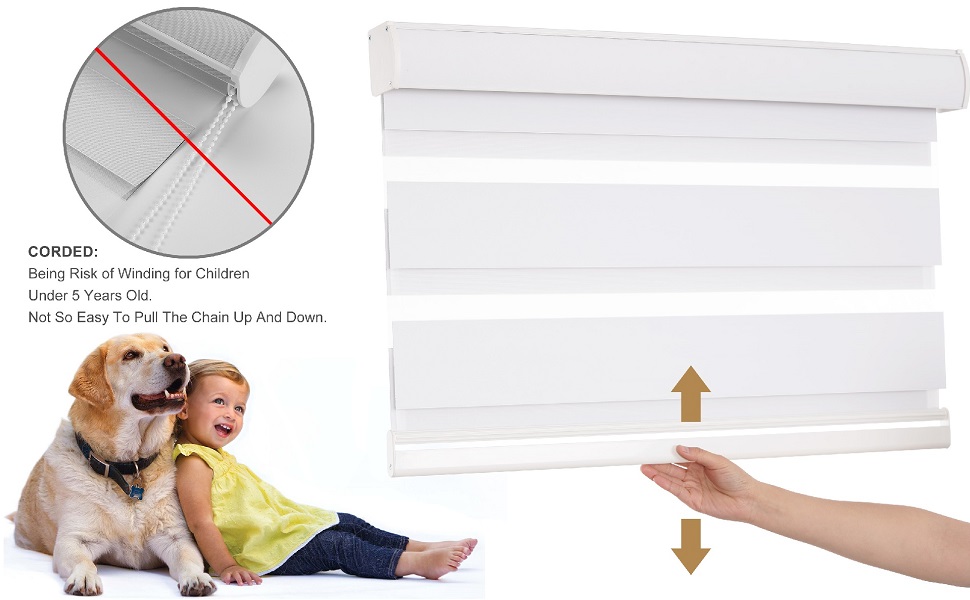 Changshade Zebra Blinds Cordless for Windows Custom Size, Blackout Zebra Roller Shades for ...