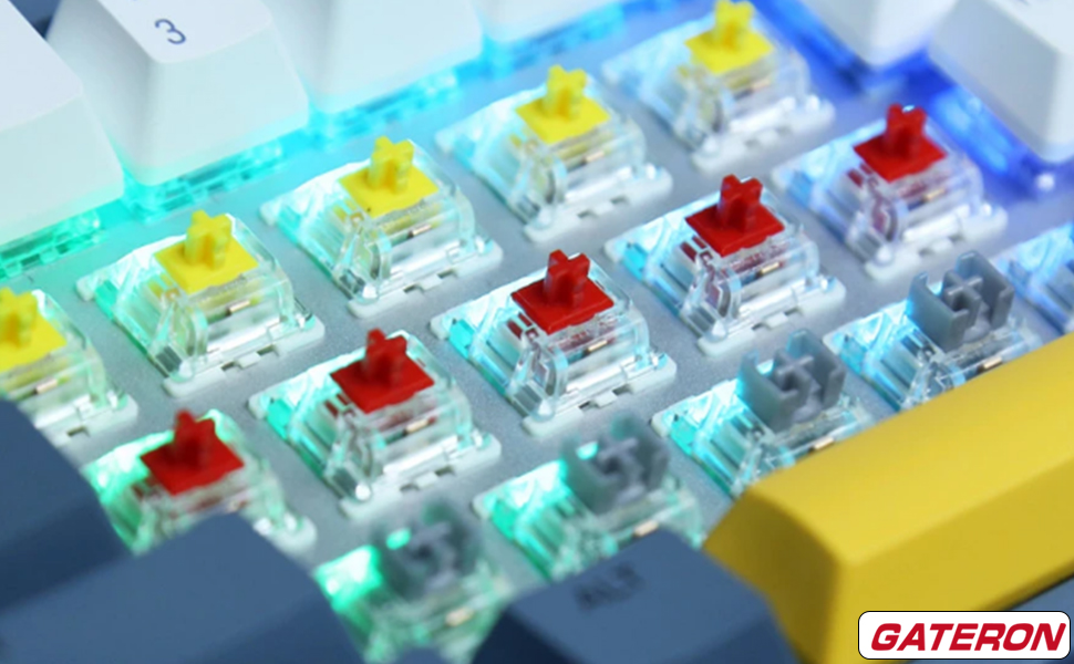 Amazon.com: DRAOZA Gateron Red Pro Switches,3-Pin Pre Lubed RGB SMD ...