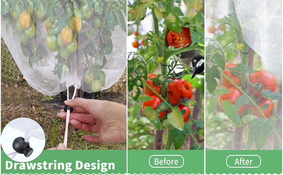 Amazon.com : 4PCS Fruit Tree Netting Garden Plant Fruits Blueberry Bush Protection Netting ...
