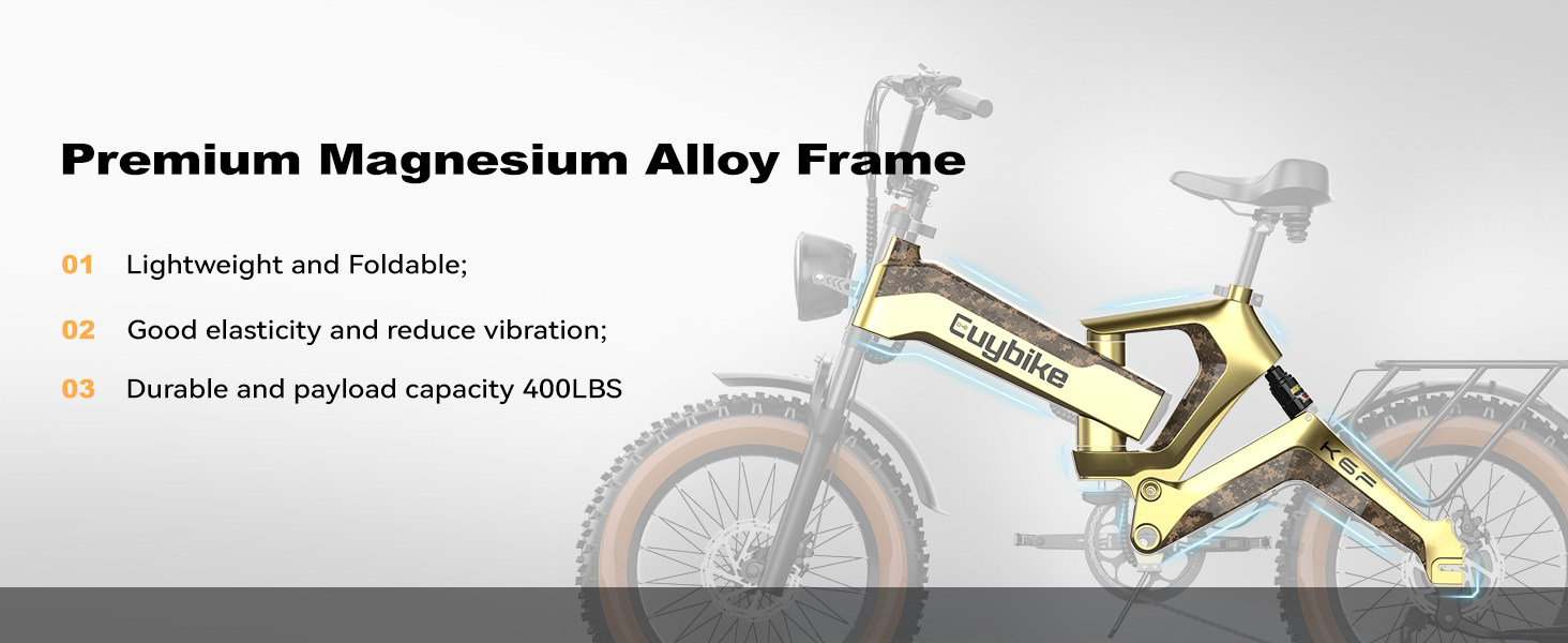 Amazon.com : Foldable Electric Bike for Adults, 2000W Peak Motor Ebike, 48V 25AH Removable ...