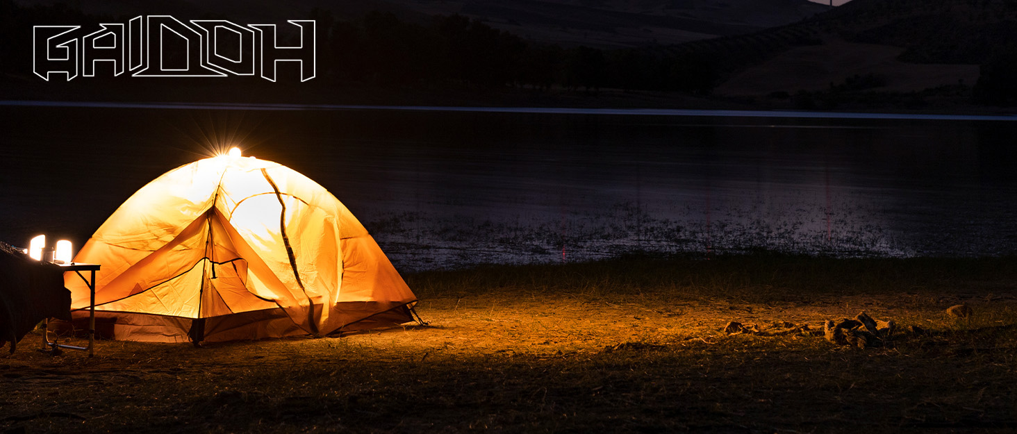 Amazon | インバーター発電機 静音 ガソリン発電機 Gaidoh GH6250i 定格出力5.0kVA ワンプッシュで起動 バッテリー付き 正弦波 防音型 高出力 軽量 静音 家庭用 ...