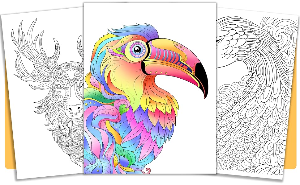 Amazon.com: SOUTHERN LOTUS Animal Patterns Spiral Coloring Book Wirebound Hardcover Papers With ...