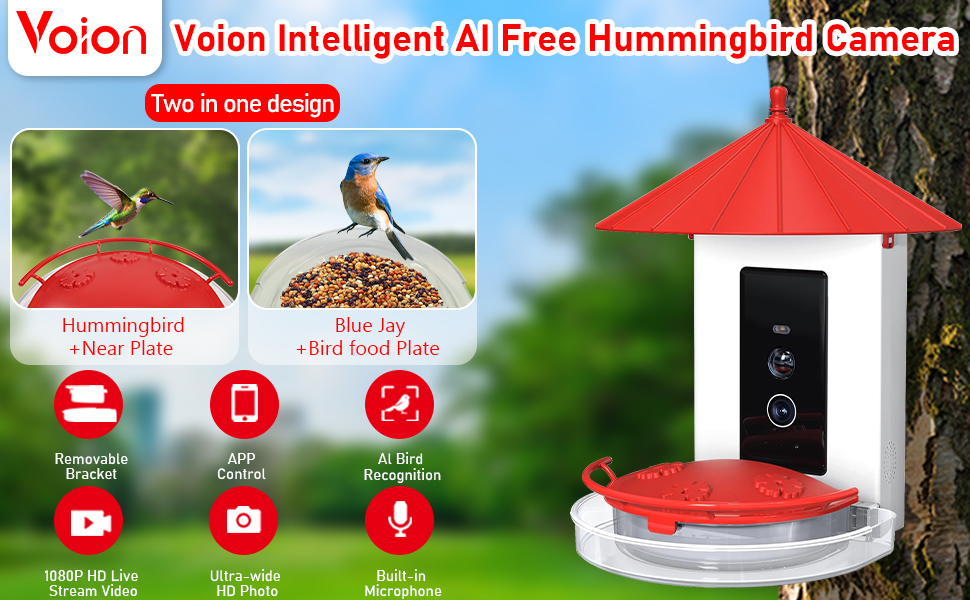 Amazon.com : Hummingbird Feeder with Camera, Free AI Forever Birds Identification Live View ...