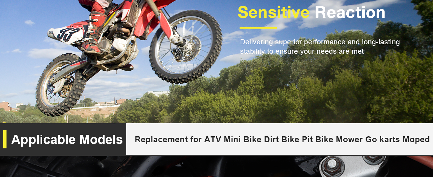 Amazon.com: NIBBI 30mm Carburetor PEZ28 Carb High Performance Upgrade for PZ30 250cc Hawk Pit ...