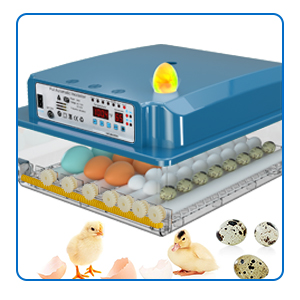 Vevitts Egg Incubator with Automatic Turner for 36 Eggs,Turkey Ducks Goose Birds Pigeon Quail ...