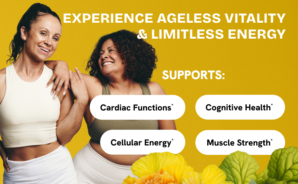 Amazon.com: Resurrected Health NMN Supplement Alternative - High Absorption NAD, Resveratrol ...