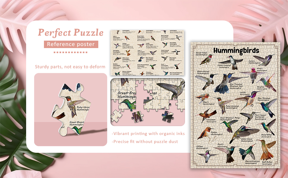 Amazon.com: Hummingbirds Puzzles for Adults 1000 Pieces and up ...