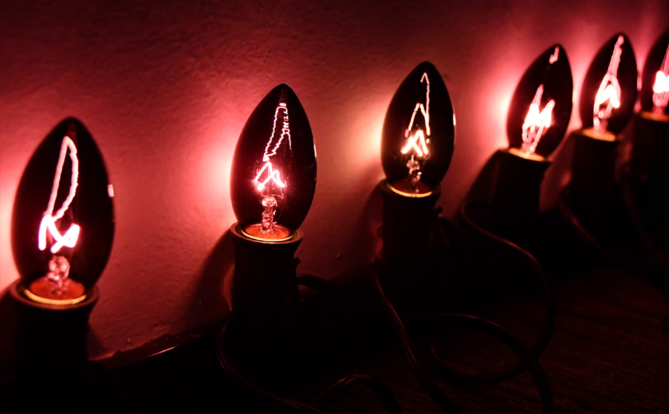 Christmas C9 Outdoor String Lights, 25Ft Outdoor Black Light String ...