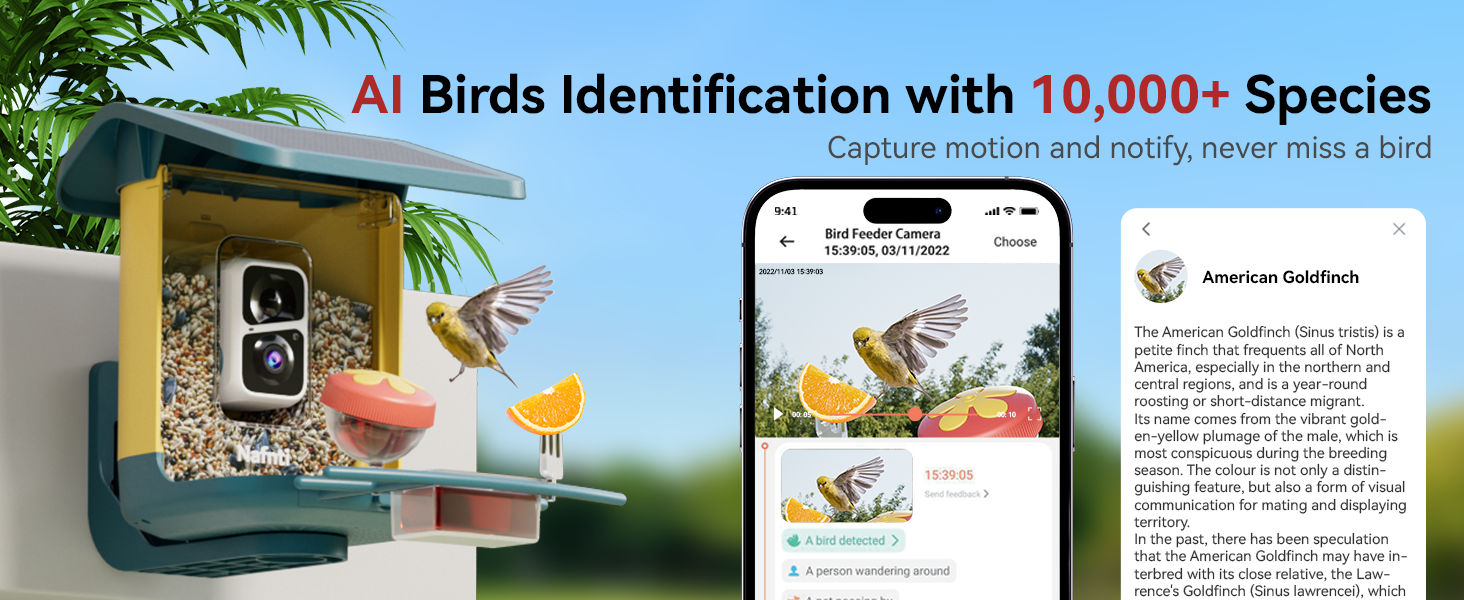 Amazon.com : 2K Smart Bird Feeder with Camera for Outdoor, Solar Powered, AI Identify 10,000 ...