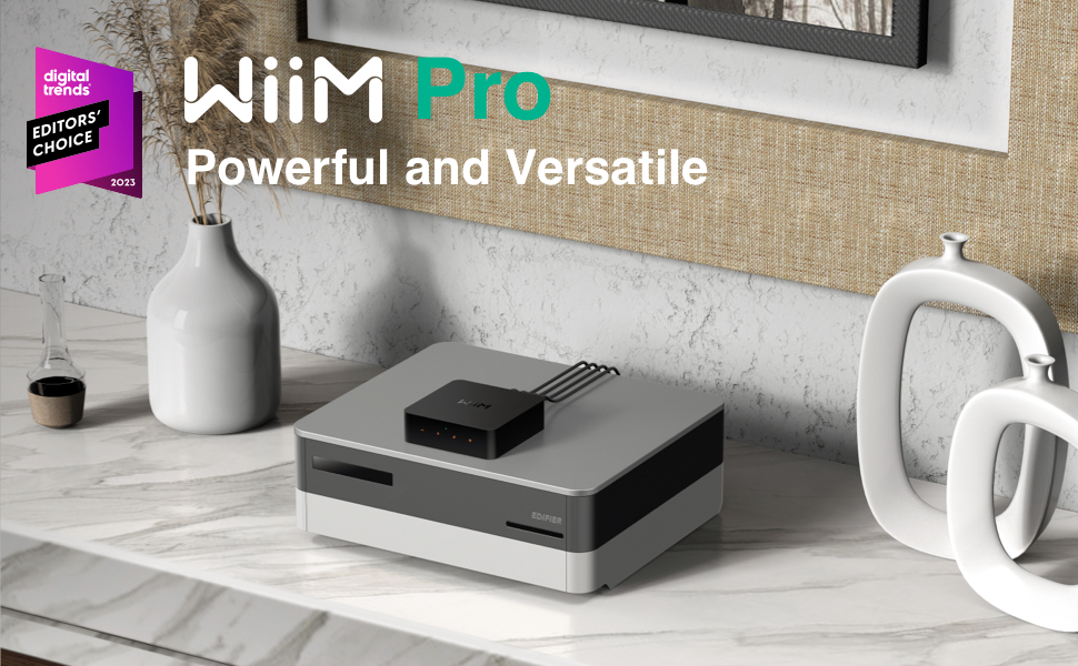 WiiM Pro AirPlay 2 Receptor, Chromecast Audio, WiFi Multiroom Streamer, Compatible con Alexa ...