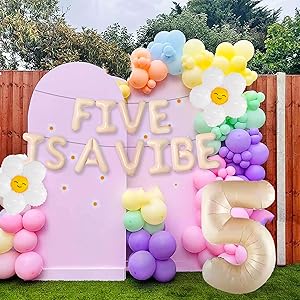 Amazon.com: JeVenis Five is a Vibe Birthday Decorations 5th Birthday Decorations Groovy Daisy ...