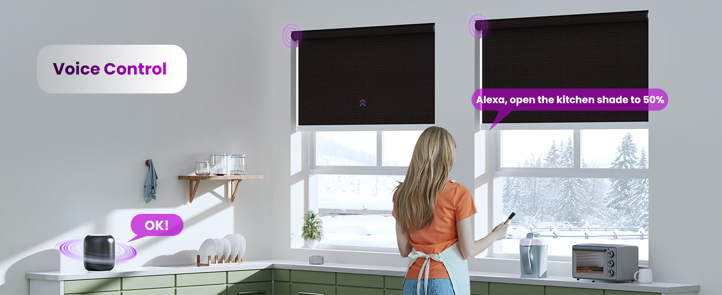 Amazon.com: Astomi Motorized Roller Shades for Windows, Blackout Automatic Blinds with Remote ...
