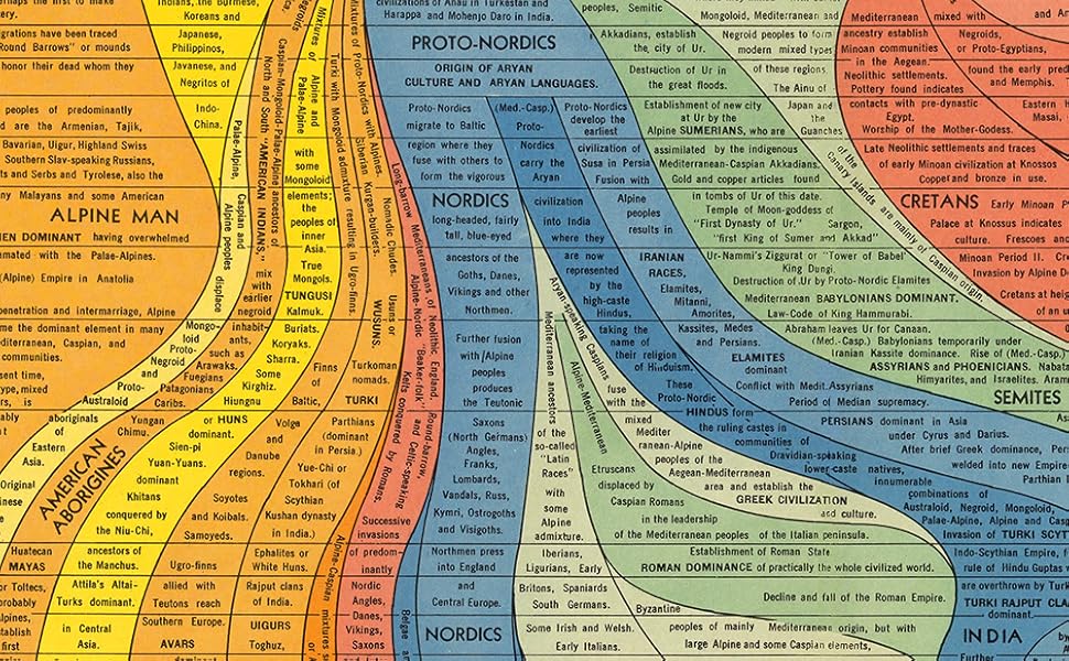 Amazon.com: Complete Set of Three (3) Histomap Timelines: (1) World History (2) Evolution (3 ...