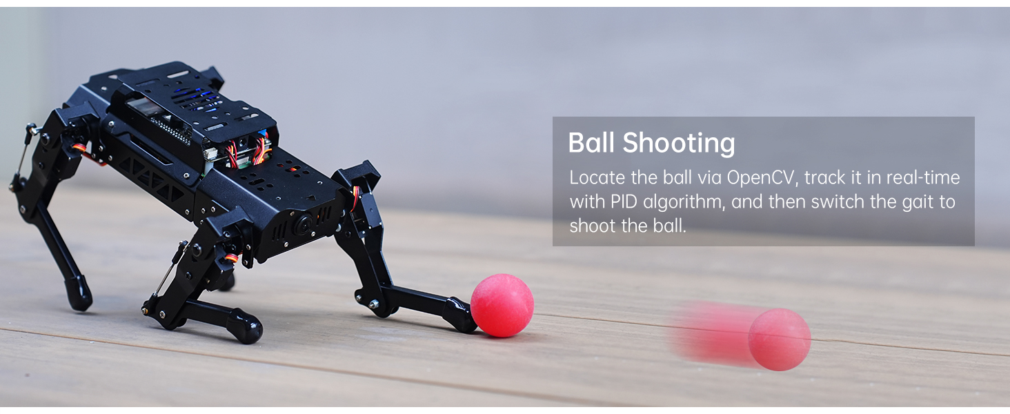 Amazon.com: PuppyPi Robot Dog for Raspberry Pi, ROS Open Source TOF Lidar AI Vision Quadruped ...