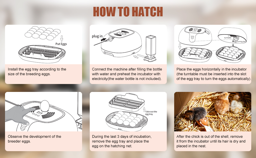 Amazon.com: Losbenco Incubators for Hatching Eggs, 16 Eggs Incubator with Automatic Egg Turning ...