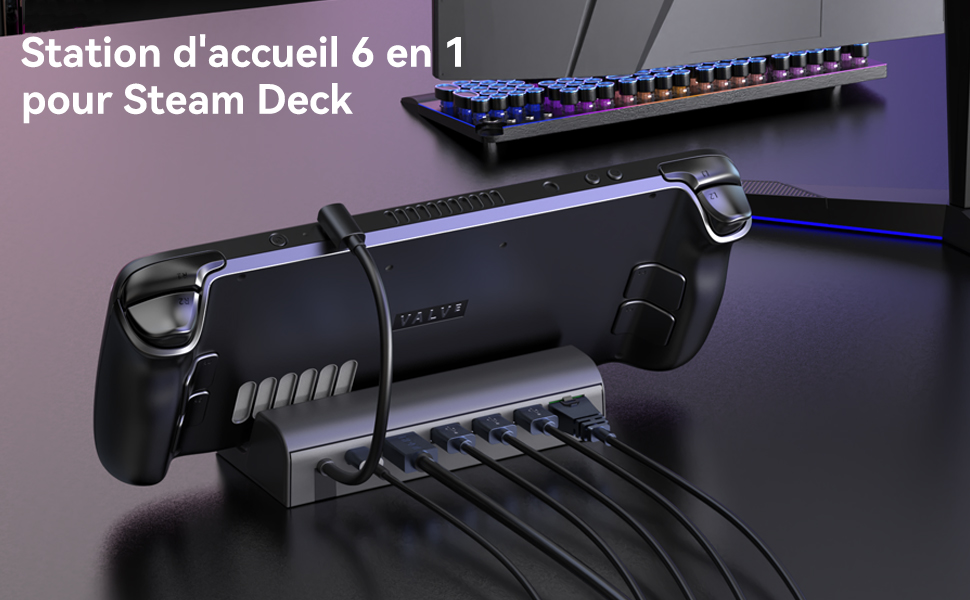 Antank Docking Station 6 en 1 Steam Deck Dock Supporter, Steamdeck Station d'accueil avec HDMI 2 ...