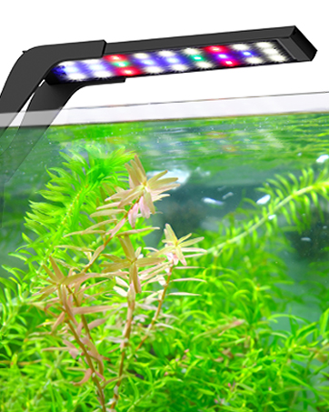 Amazon.com : AQQA Aquarium Clip On Light,Fish Tank Full Spectrum LED Light,24/7 Sunrise Sunrise ...