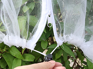 Amazon.com : wohohoho 6.6 x 6.6ft Large Fruits Tree Netting, Insect Bird Barrier Tree Net with ...