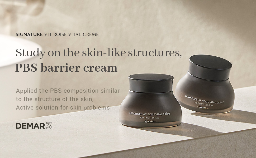 Amazon.com : DEMAR3 SIGNATURE VIT ROISE CREAM, daily face moisturizer with niacinamide ...