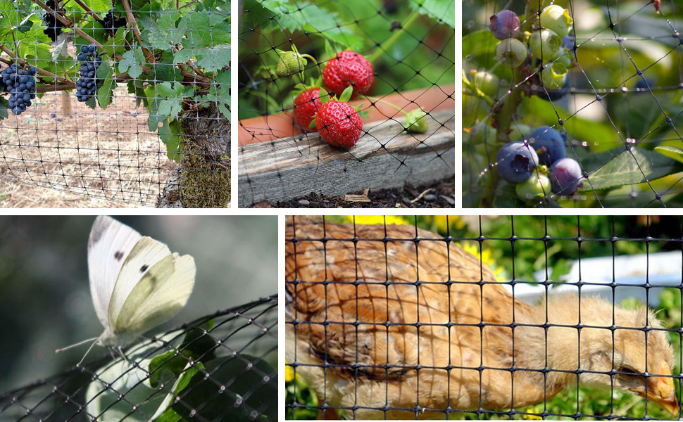 Amazon.com : Vocray Bird Netting 8X100FT, Heavy Duty Deer Netting for Garden Protection, Garden ...