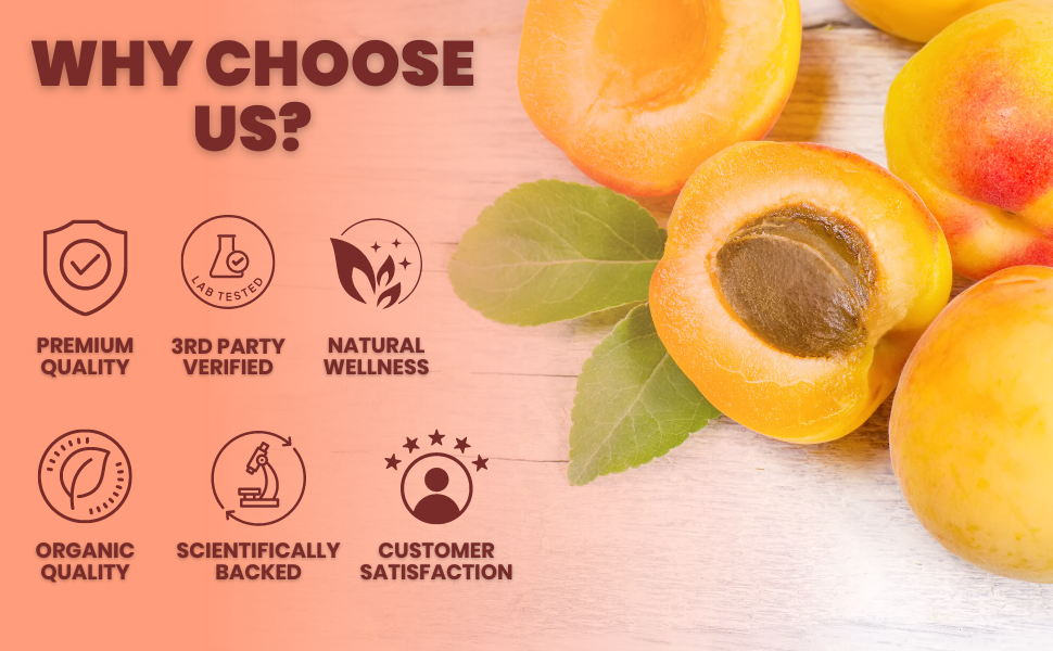 Amazon.com: Organic Apricot Seeds Extract - ONLY Kernel supplement- Safe dosage 500mg ...