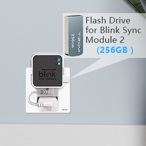 Amazon.com: 256GB Blink USB Flash Drive for Local Video Storage with ...