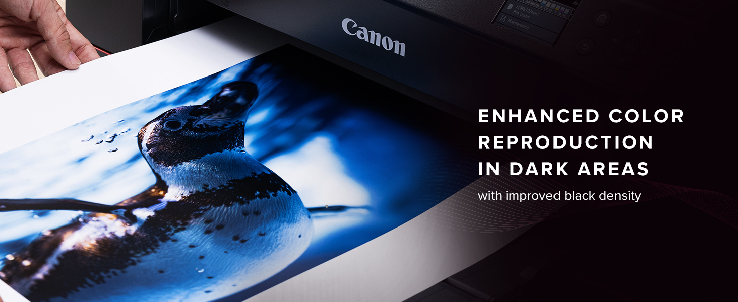 Amazon.com: Canon imagePROGRAF PRO-1100: 17” Professional Wireless Inkjet Photo Printer : Office ...