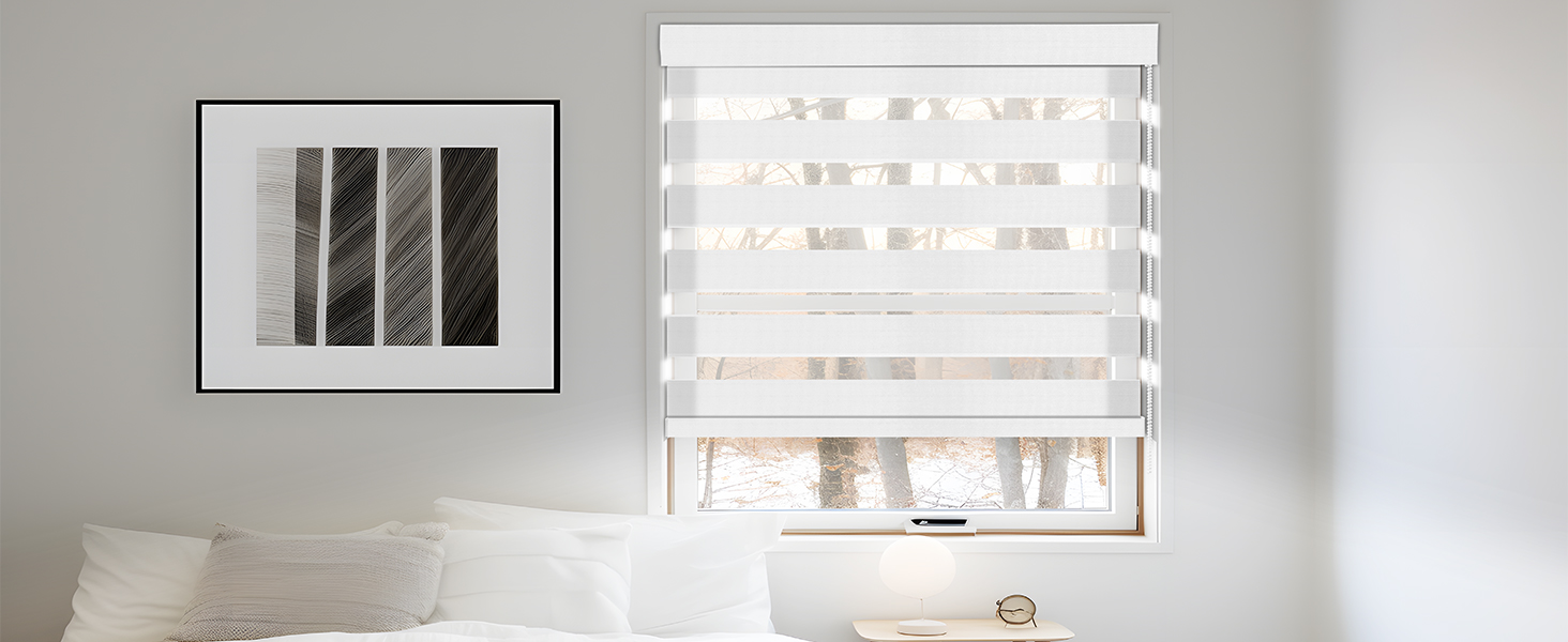 Amazon.com: HOTSOON Zebra Blinds for Windows, Color-Matched Light Filtering Zebra Roller Shades ...