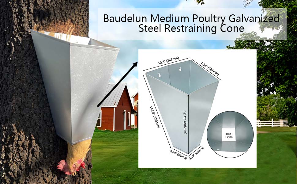 Amazon.com : Baudelun 1PCS Medium Poultry Galvanized Steel Restraining Cone for Large Layers ...