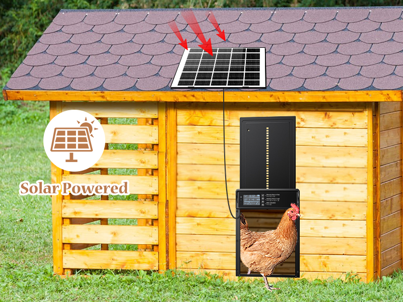 Trappe Solaire pour Poulailler,Porte Automatique Poulailler Solaire,Porte Poulailler avec ...