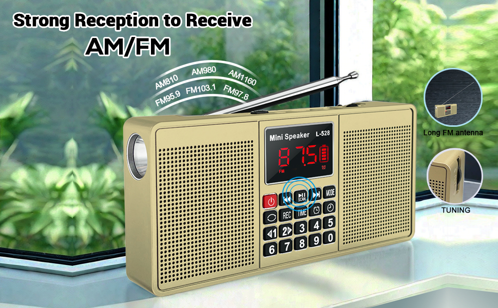 Amazon.com: Multifunctional Radios AM FM Portable, Radio with USB Slot,Micro SD Card Player,with ...