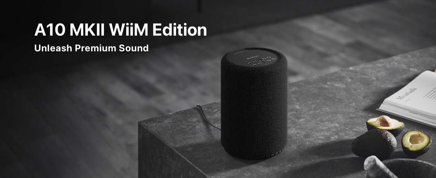 Amazon.com: Audio Pro A10 MKII Wireless Multiroom Speaker, WiiM Edition | High Fidelity ...