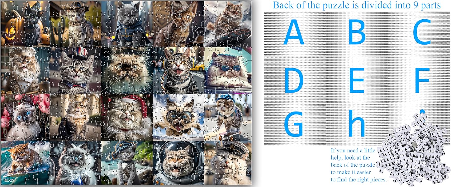 Amazon.com: Think2Master Cute Cats 250 Pieces Jigsaw Puzzle Featuring heartwarming Kittens and ...