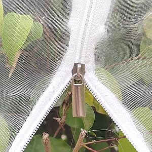Amazon.com : 8.2x8.2ft Large Tree Netting for Fruit Trees Keep Birds Squirrels Cicadas and Small ...