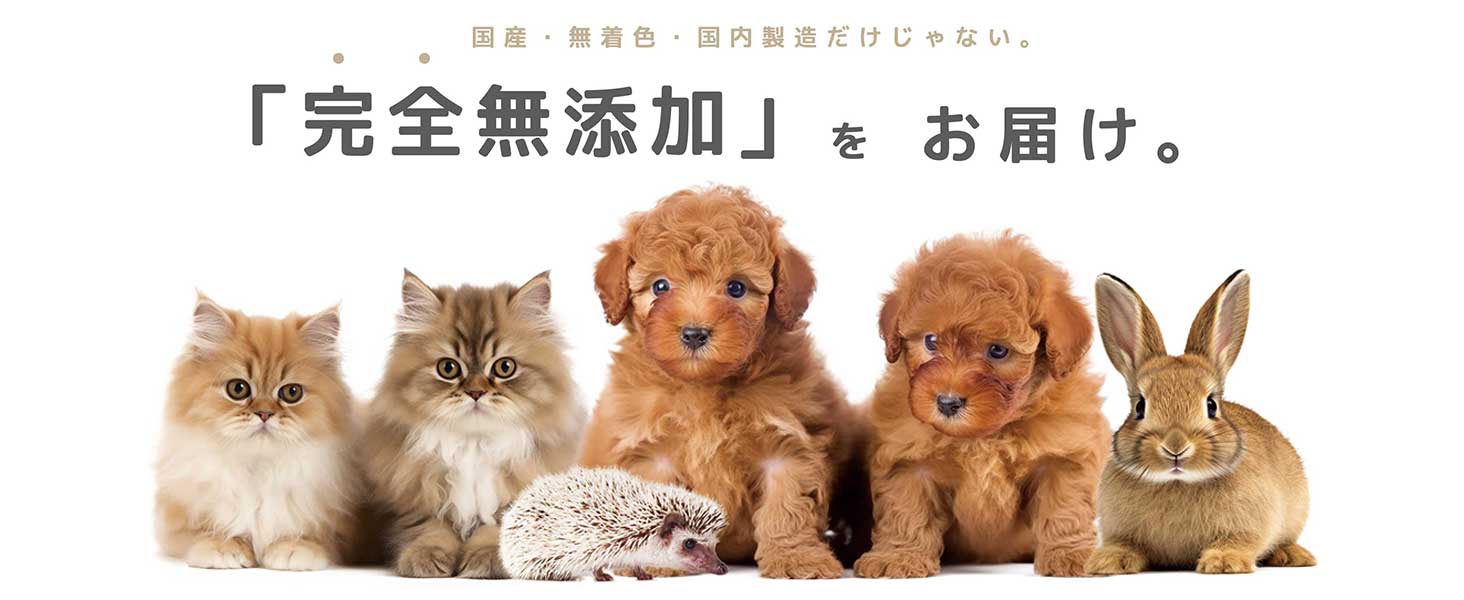 Amazon | Laki ラキ ささみチーズキューブ 鶏 無添加 国産 無着色 ペット 犬 おやつ 35g | LAKI | ビスケット・クッキー・スナック 通販