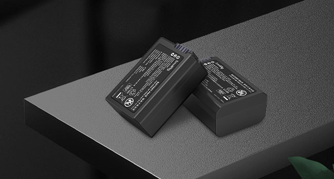 SMALLRIG NP-FW50 Baterías de Repuesto para Cámara (2 Unidades) y Cargador de Pantalla LCD para ...