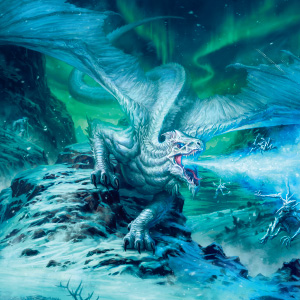 Amazon.com: Dungeons & Dragons The Practically Complete Guide to Dragons Illustrated Book ...